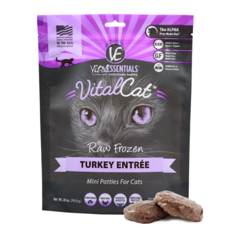 Cat | Raw Food